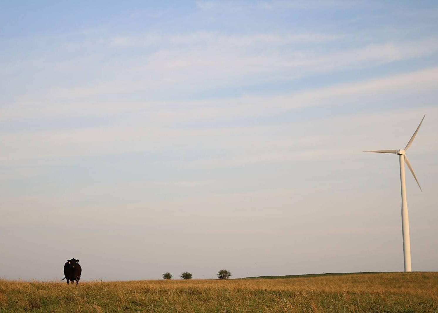 Resources - Resource Rural