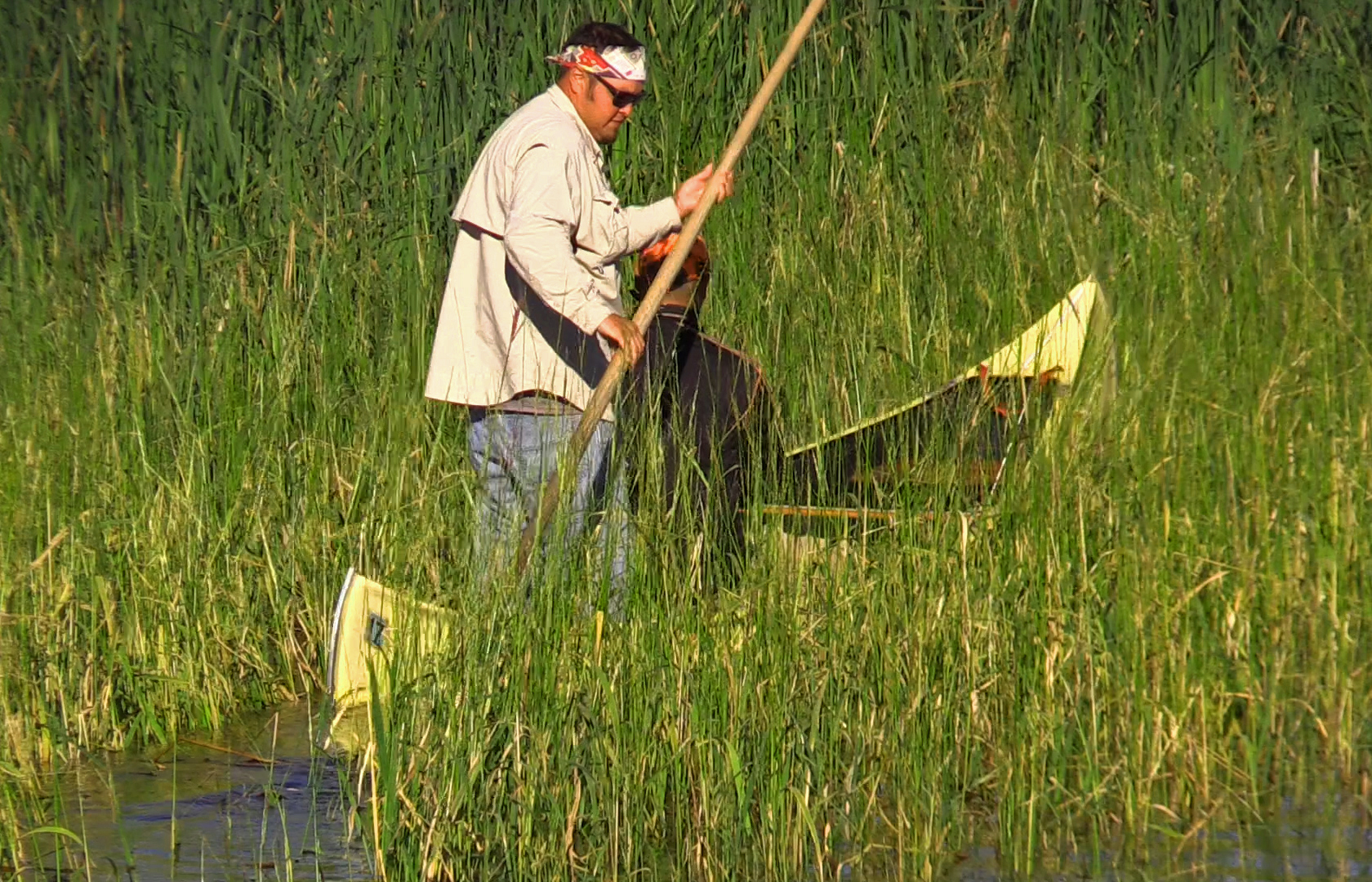 Minnesota First Nation harvests manoomin and new opportunities ...
